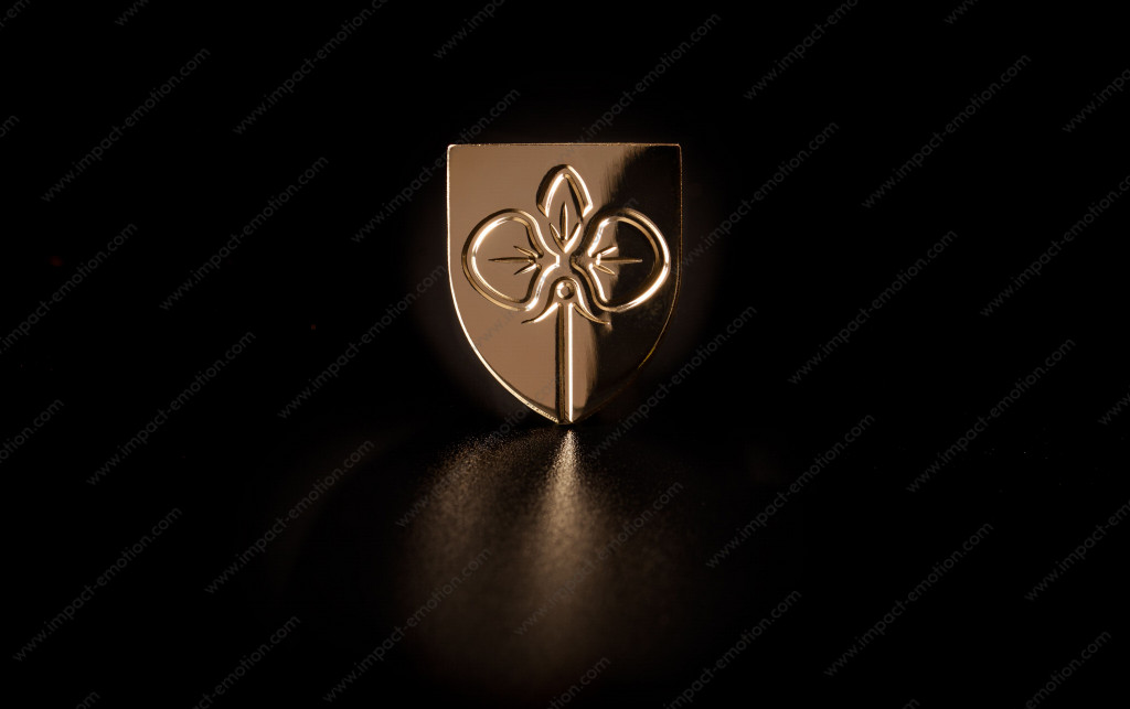 Pin's Personnalisé - Expert en Création de Pin's Prestige